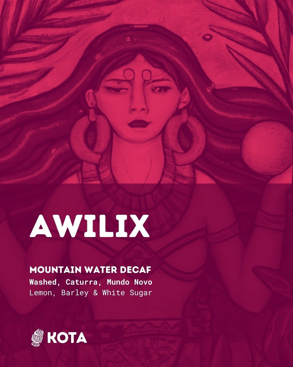 Awilix Mountain Water Decaf - Oaxaca, Mexico – KOTA Coffee