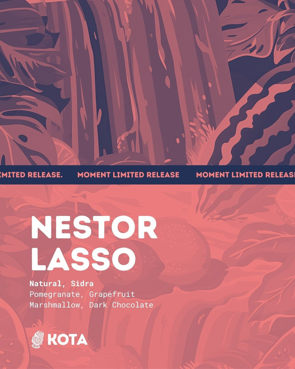 Nestor Lasso Natural Sidra - Colombia – KOTA Coffee